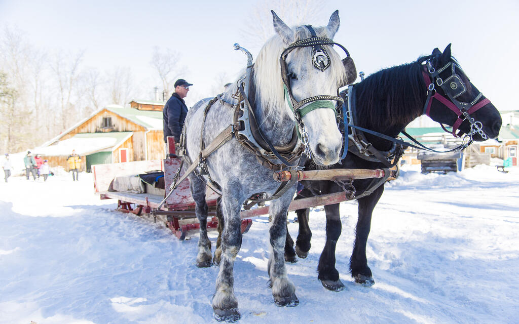 Hear Those Sleigh Bells Jingling | Come Wander