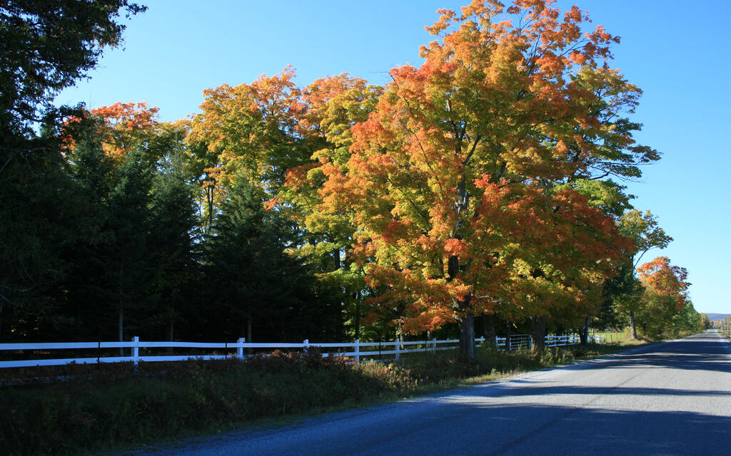 Fall and Where to Find it in North Hastings | Come Wander